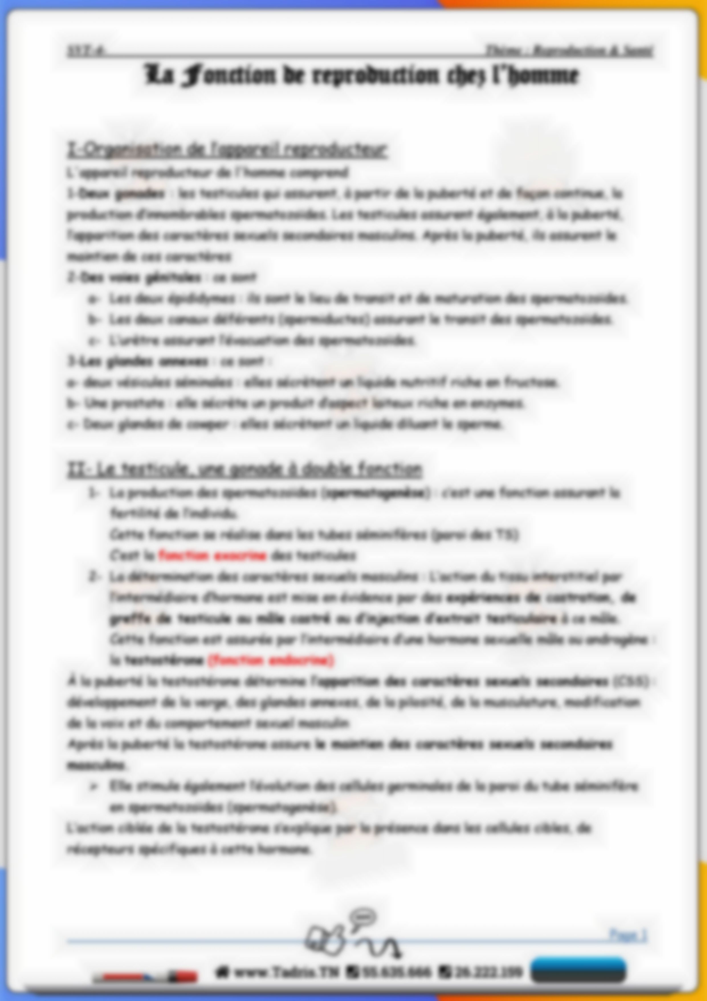 ≡ Bilan Reproduction masculine — Sciences SVT ( Bac Math ) — Tadris.TN ...