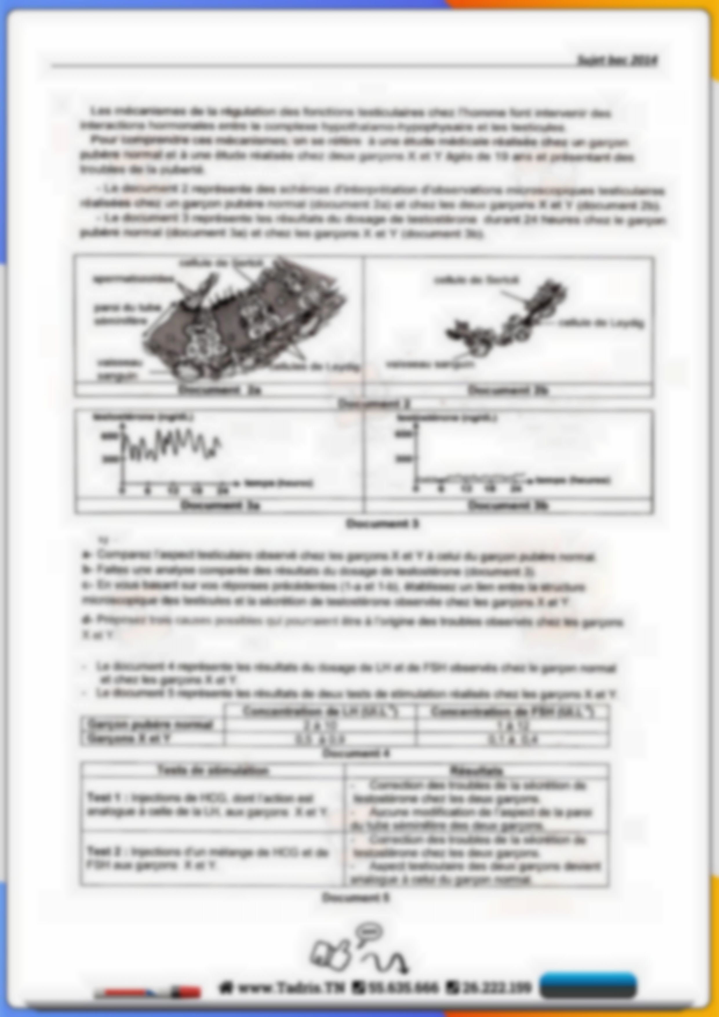 ≡ Bilan Reproduction masculine — Sciences SVT ( Bac Math ) — Tadris.TN ...