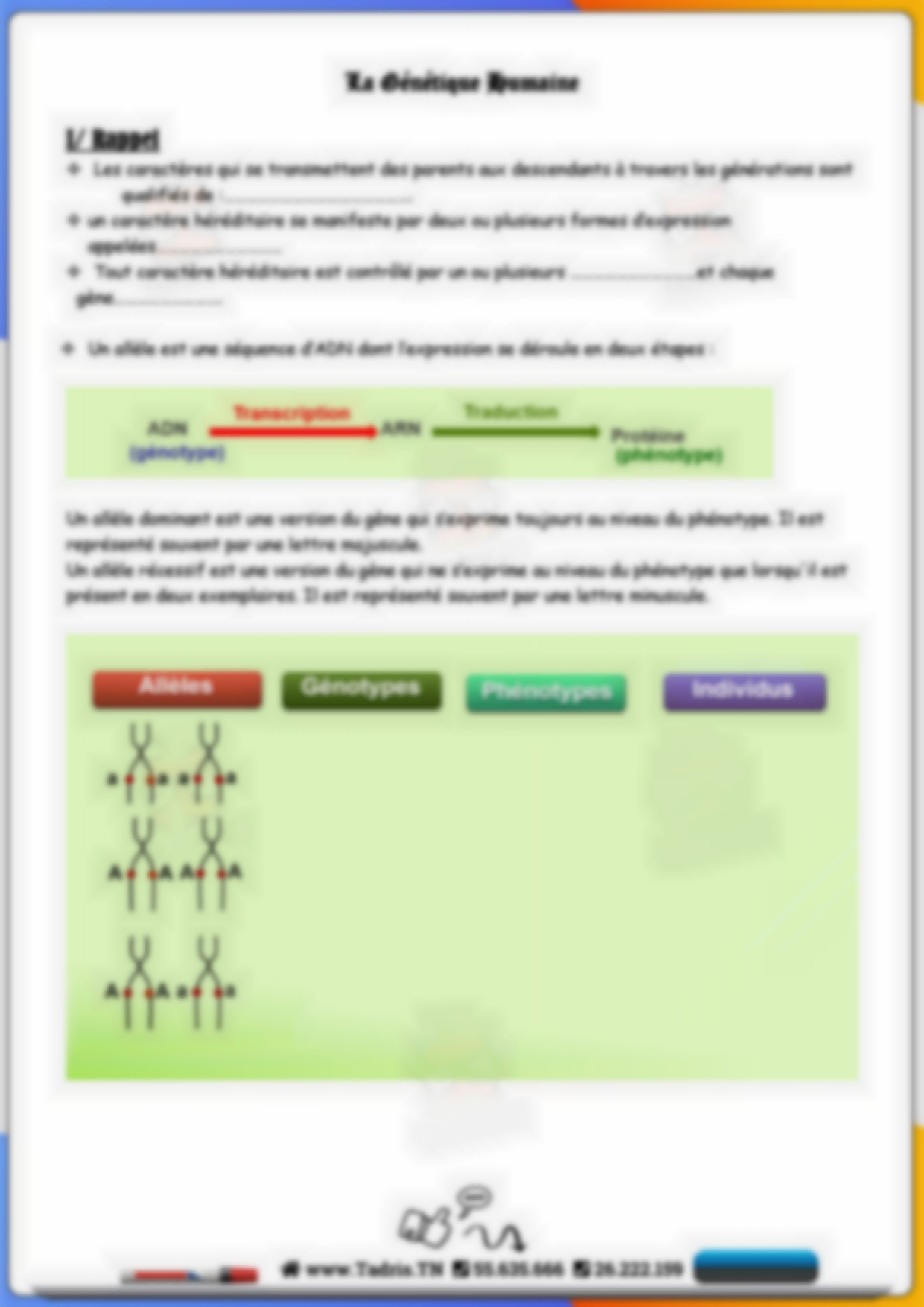 ≡ Bilan Reproduction masculine — Sciences SVT ( Bac Math ) — Tadris.TN ...