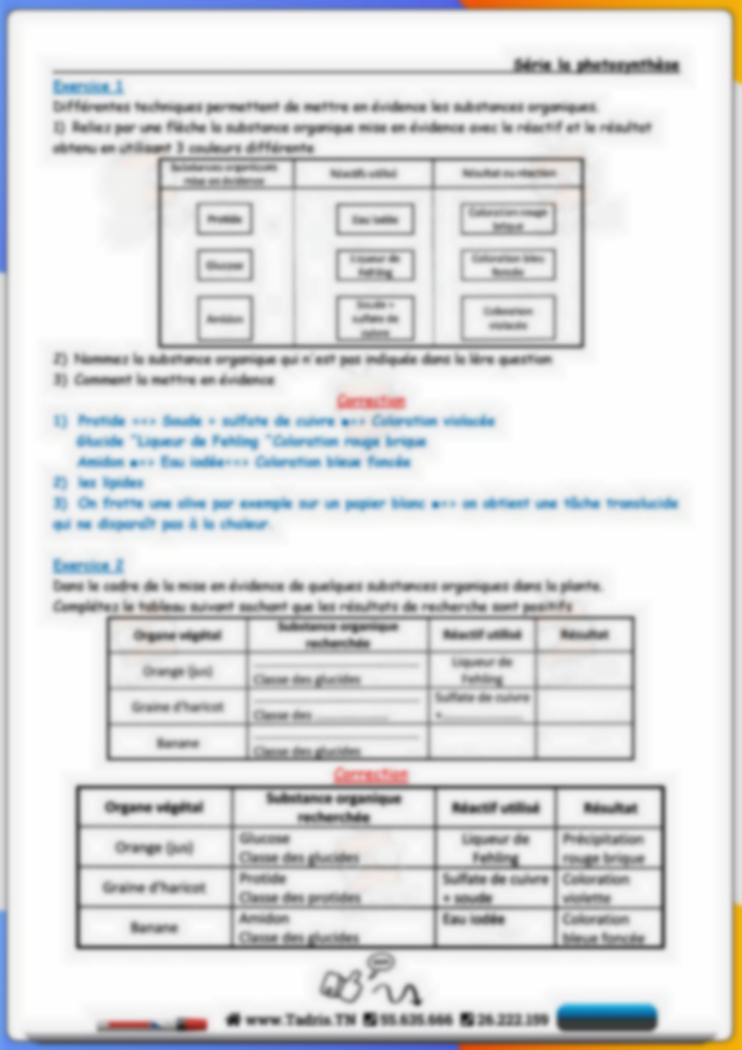 ≡ 2. Conduction verticale – IV La conduction de l'eau dans la plante ...