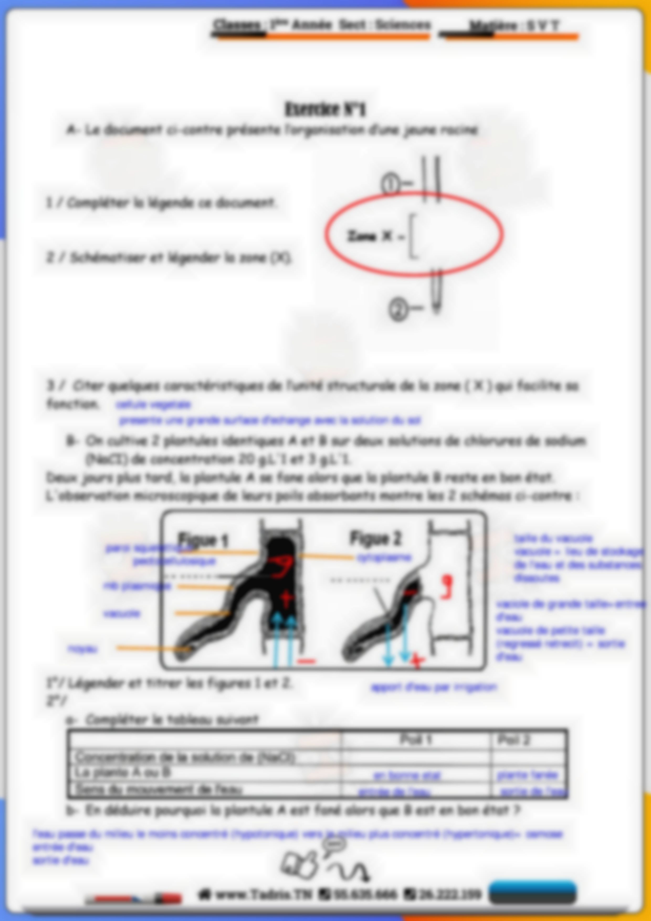 ≡ 2. Conduction verticale – IV La conduction de l'eau dans la plante ...