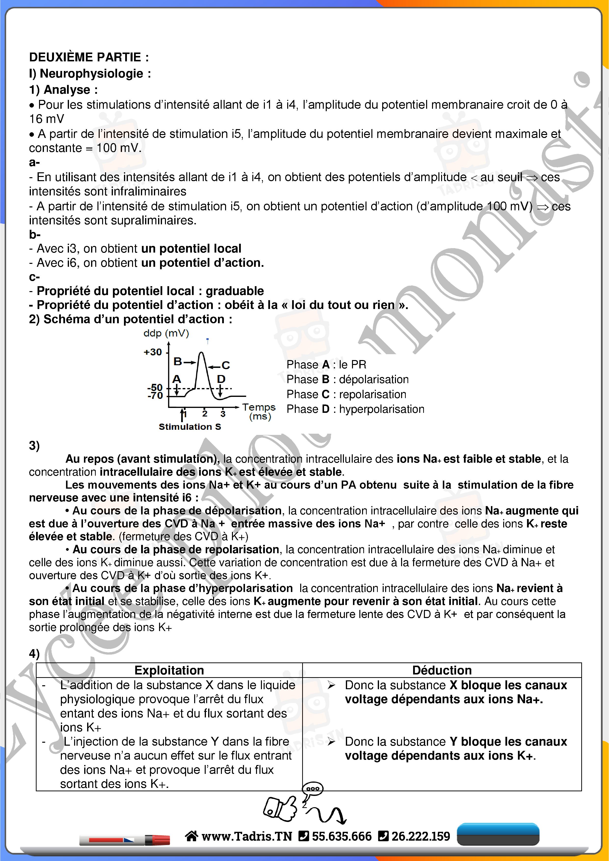 ≡ Rôle de l'hypophyse – Partie III : La régulation du cycle sexuel — Enregistrement–2024—2025 ...