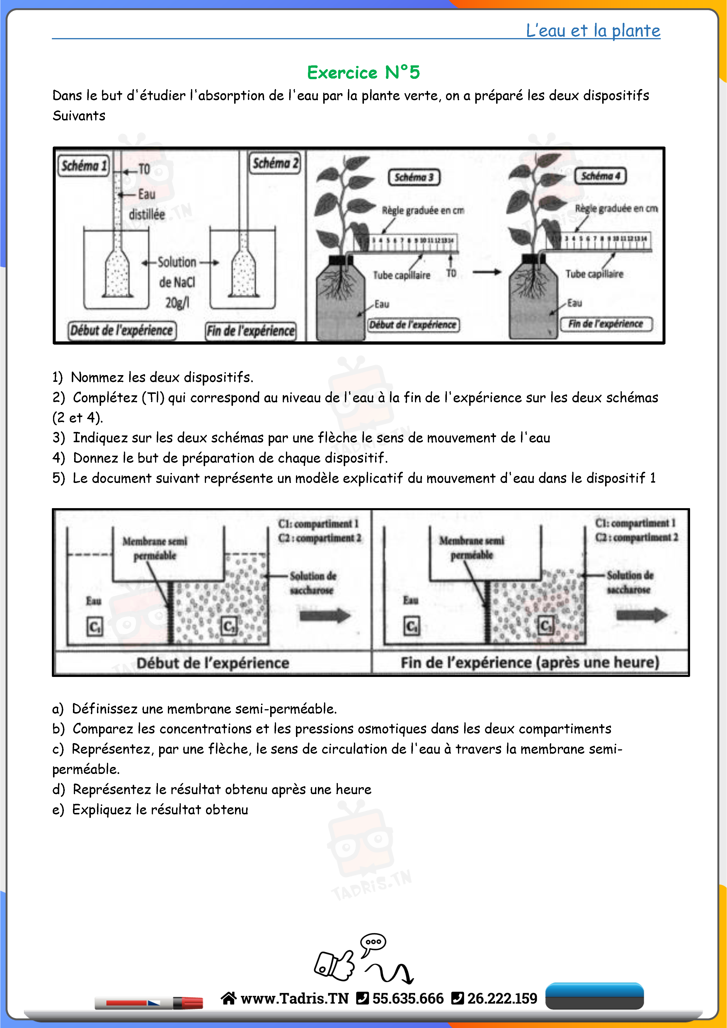 ≡ 2. Conduction verticale – IV La conduction de l'eau dans la plante ...