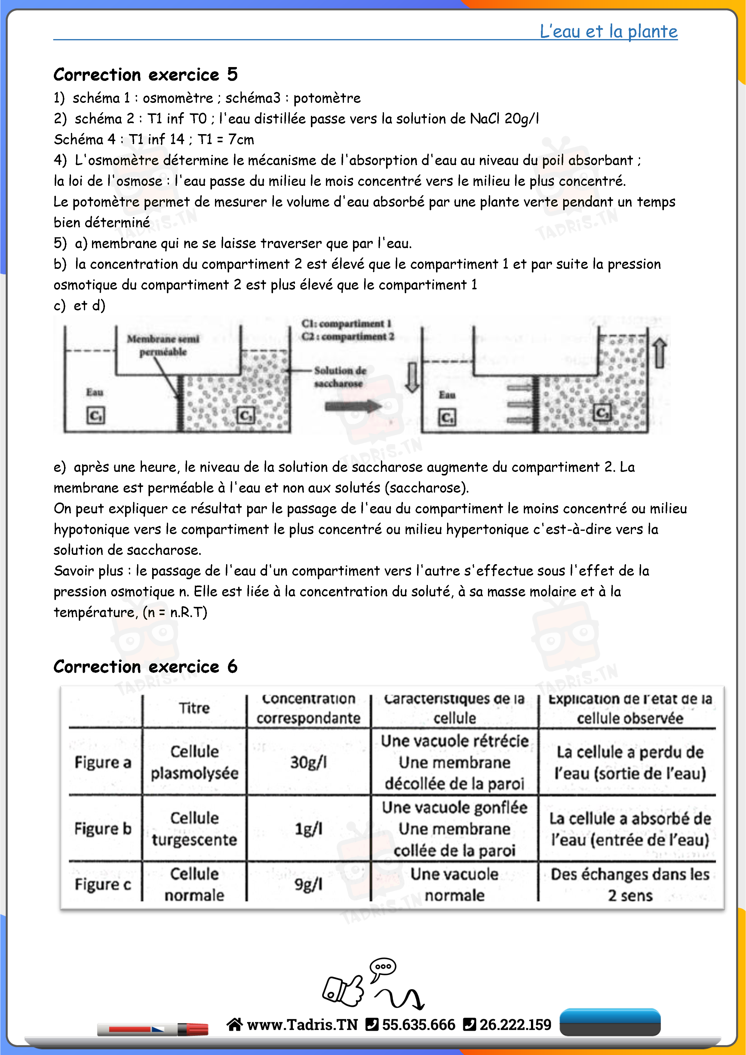 ≡ 2. Conduction verticale – IV La conduction de l'eau dans la plante ...