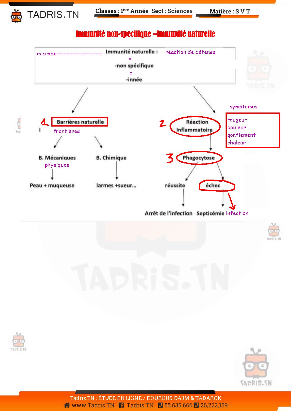 ≡ 2. Cellule turgescente∕turgescence – II Mécanisme d'absorption d'eau ...