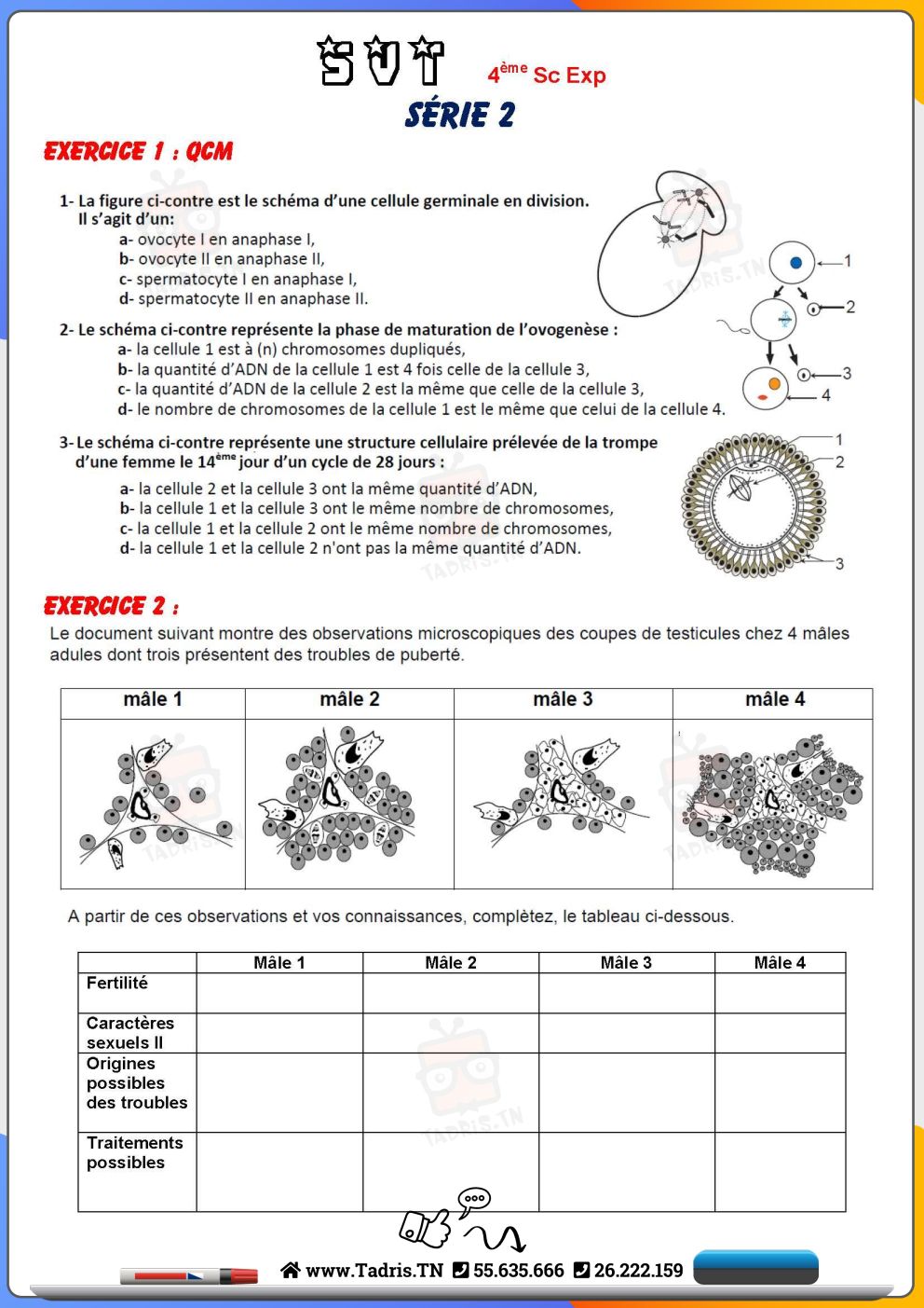 ≡ 01 La théorie de l'évolution – Cours 1 — Bac Sc.expérimentales ...