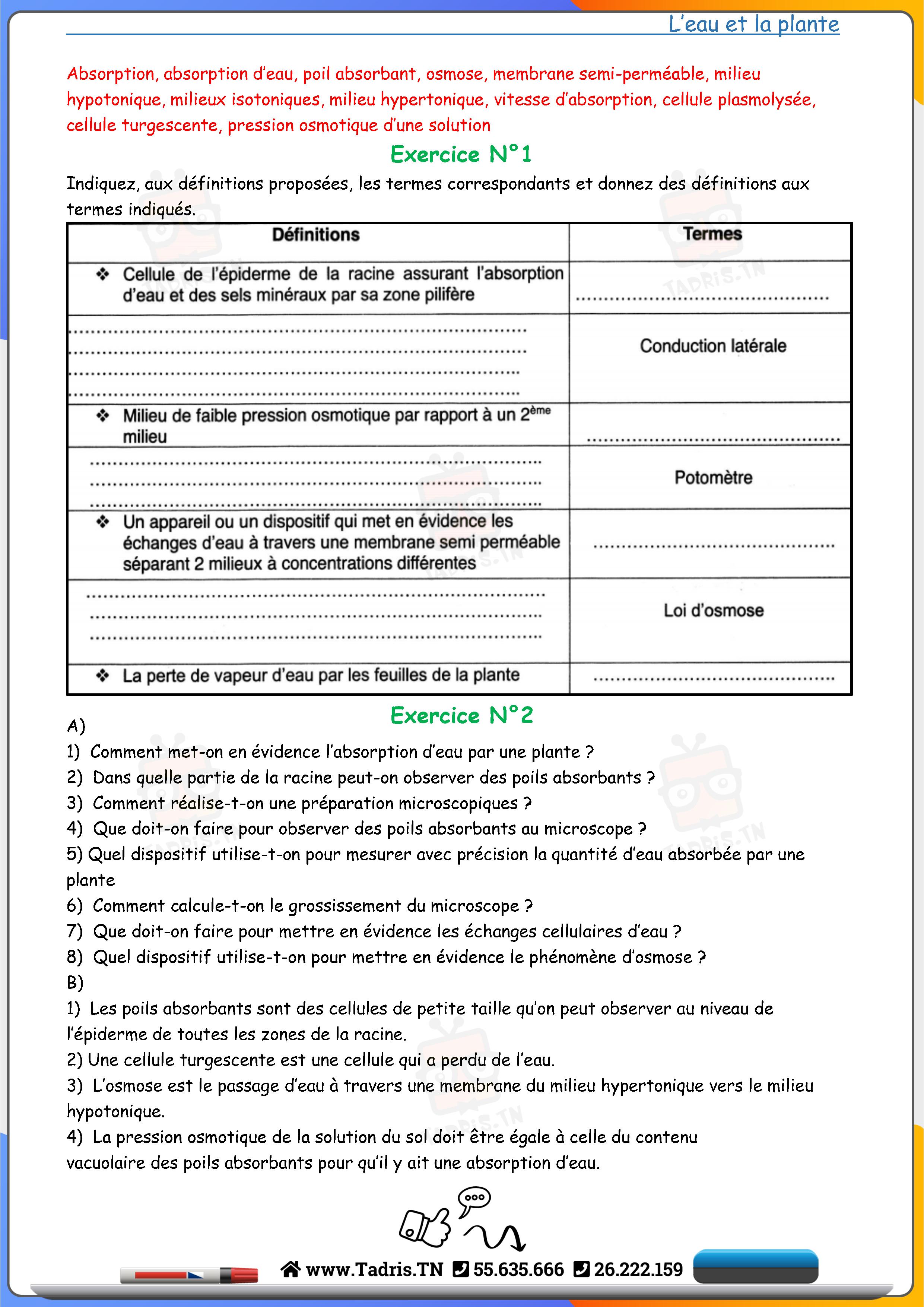 ≡ 2. Cellule turgescente∕turgescence – II Mécanisme d'absorption d'eau ...